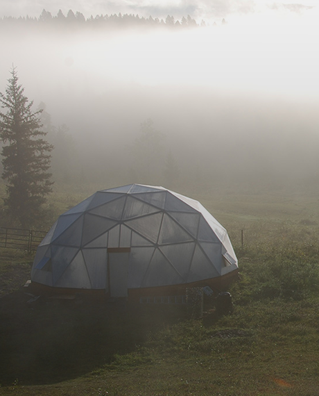 Growing Domes