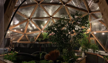 Growing Domes