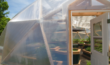 Growing Domes
